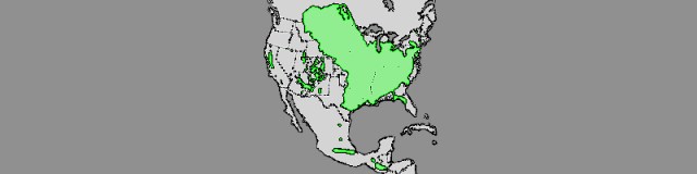 Plant Distributions – PRO – Plant Research Organization